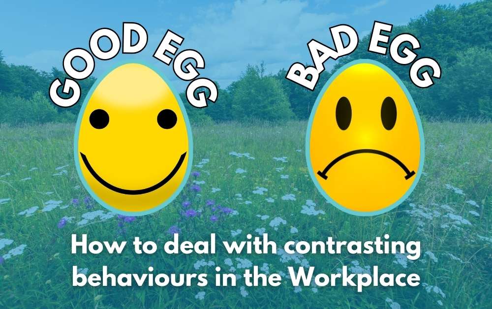 Good Egg Bad Egg - How to deal with contrasting behaviour in the ...